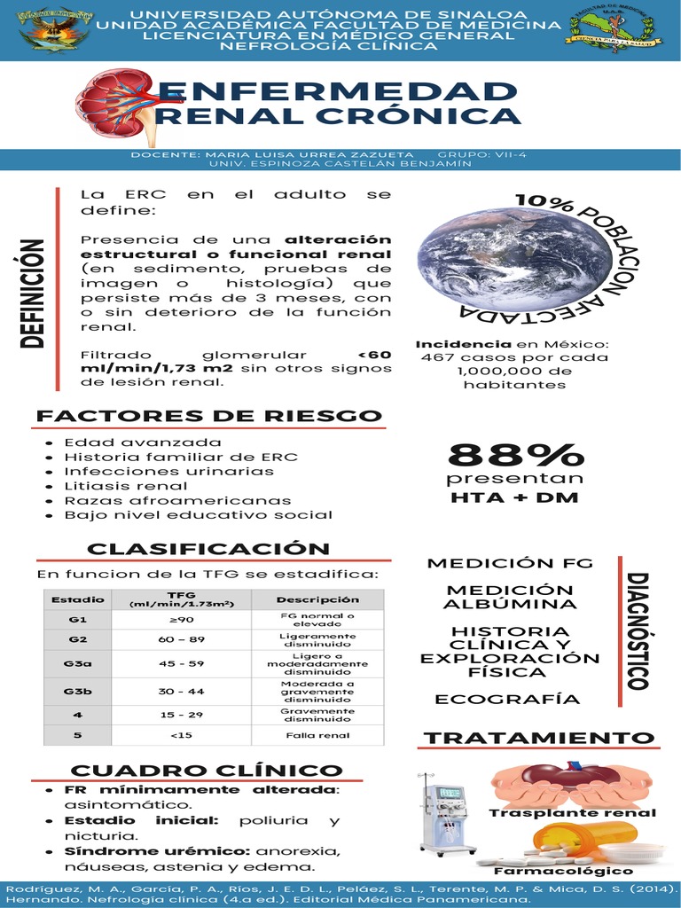 Infografia - ERC | PDF | Medicina CLINICA | Causas de la muerte