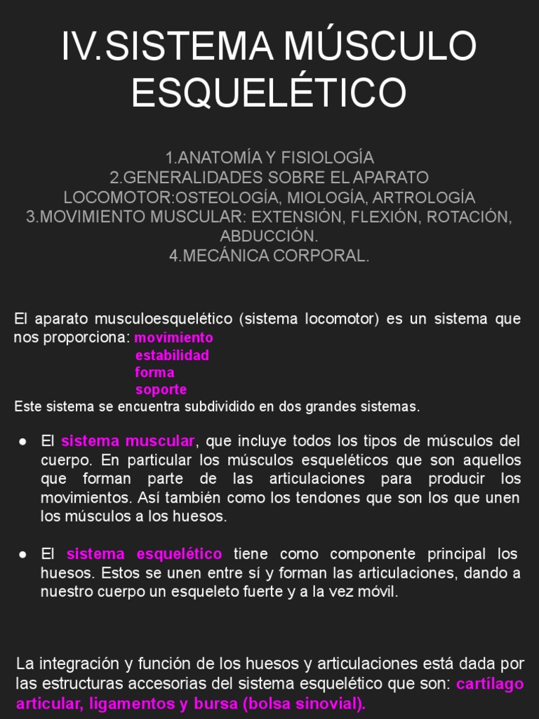 Sistema Musculo Esqueletico Pdf Articulación Músculo Esquelético