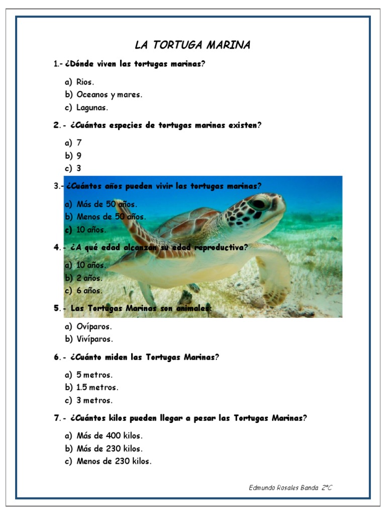 La Tortuga Marina | PDF