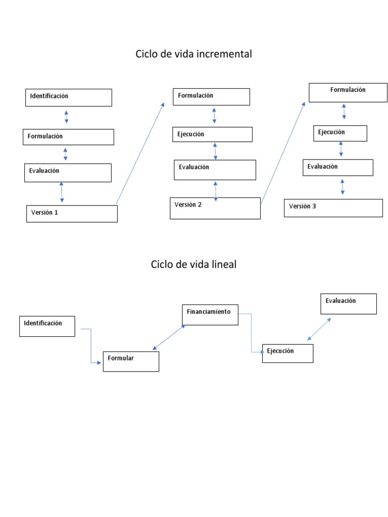 Ciclos de Vida | PDF