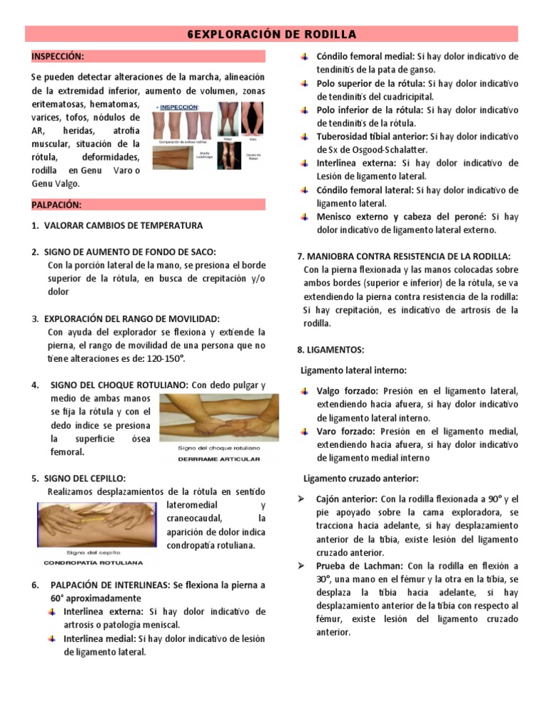 Exploración Clínica de la Rodilla | PDF | Rodilla | Anatomía humana