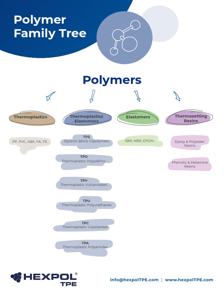 File Polymer Family Tree | PDF | Science & Mathematics