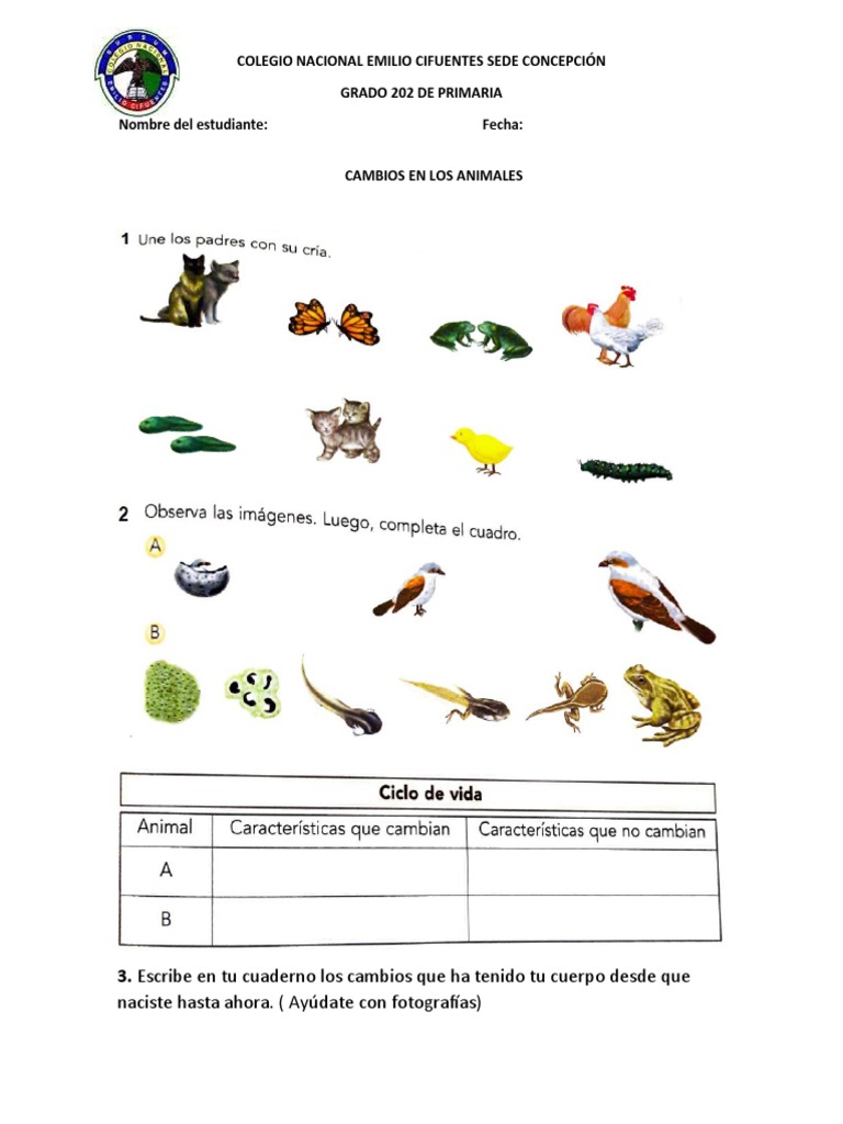 Cambios en Los Animales | PDF