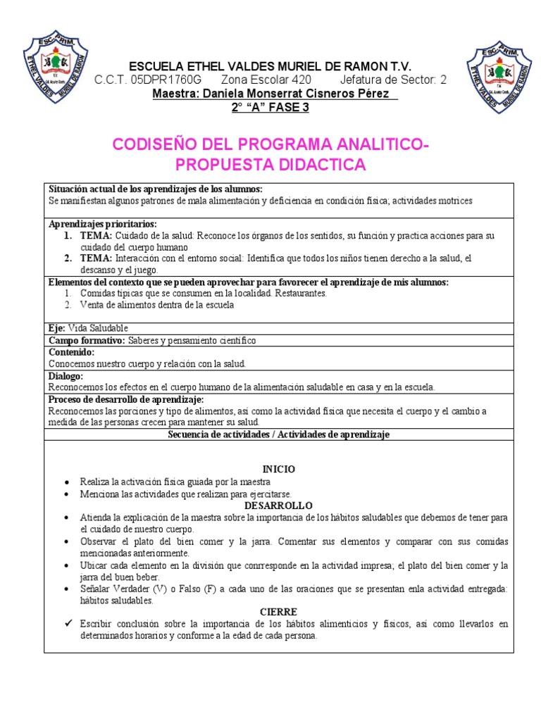 Codiseño Del Programa Analitico Pdf Aprendizaje Cognición