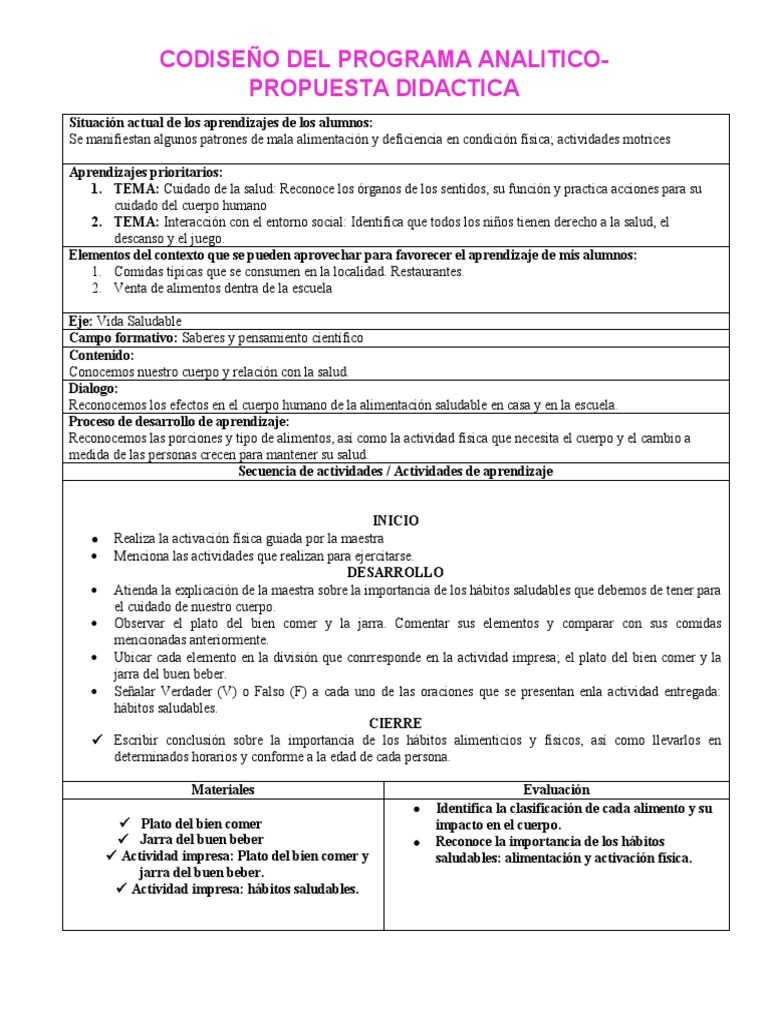 Codiseño Del Programa Analitico | PDF