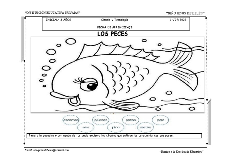 Actividad de Aprendizaje: Los Peces | PDF