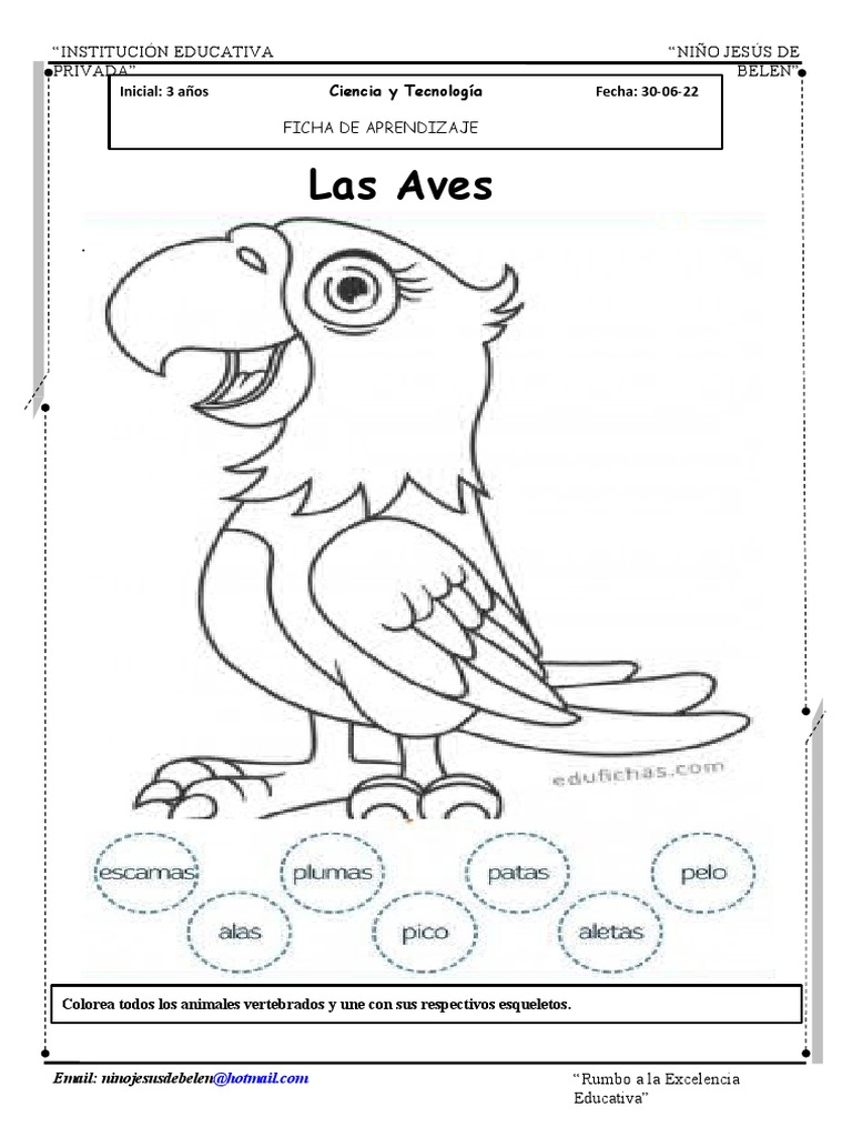 Las Aves Cyt | PDF