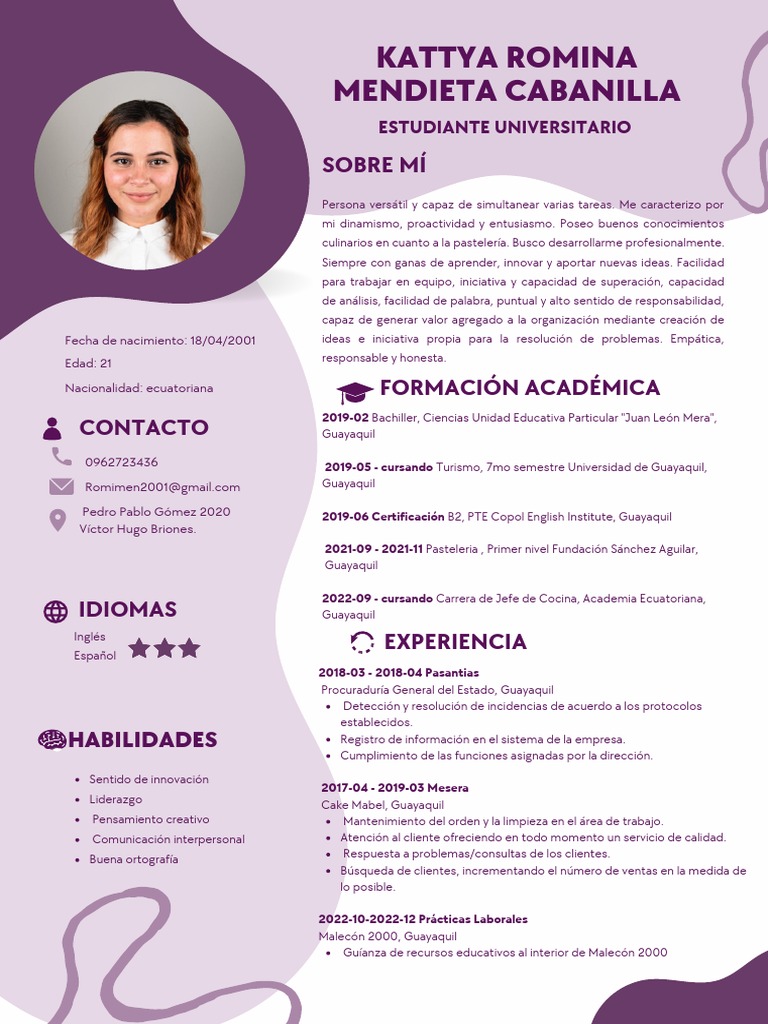 CV Mendieta Romina | PDF