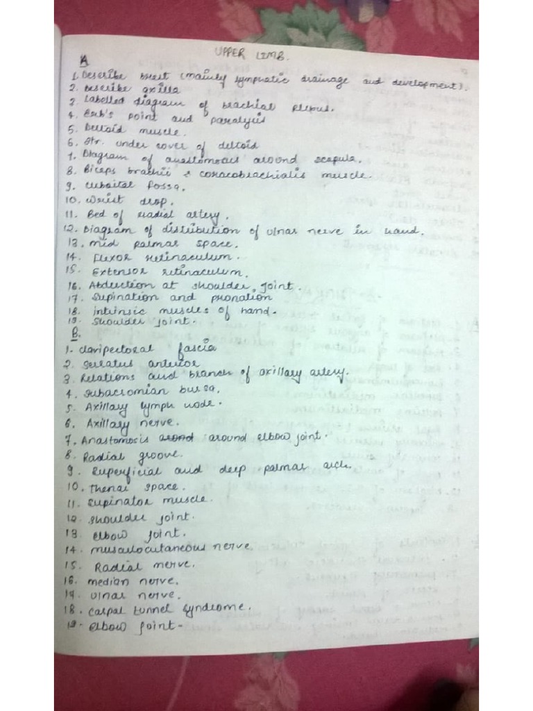 ABC Anatomy | PDF
