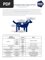 Kitty Magic | PDF | Anesthesia | Surgery