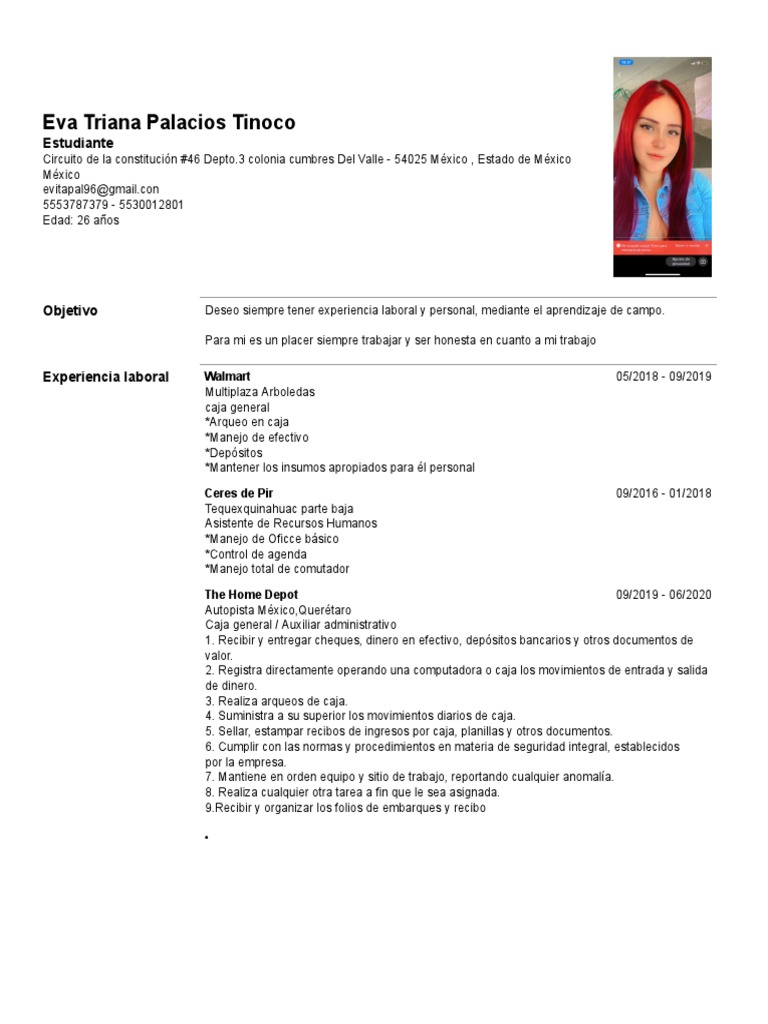 Currículum - Eva | PDF | Logística | Business