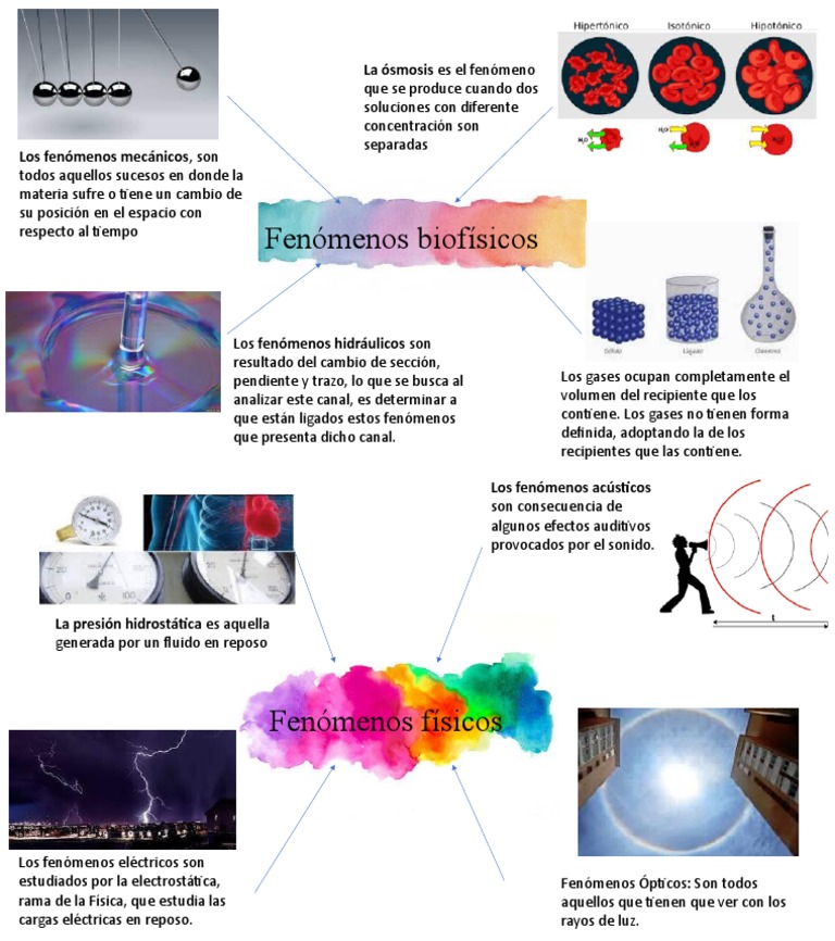 Fenomenos Biofisicos ... | PDF