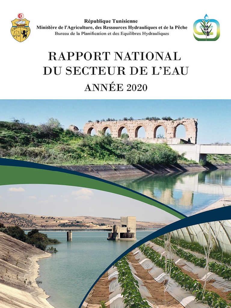 Revue 2020 Final | PDF