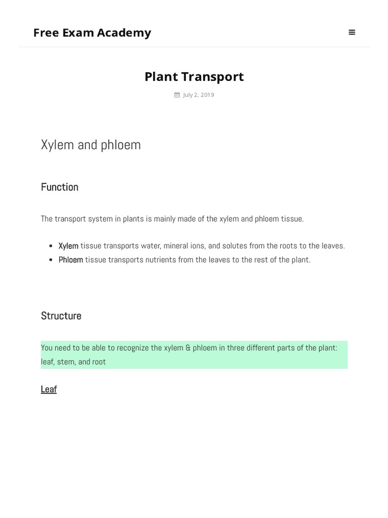 Plant Transport System Explained | PDF | Root | Leaf