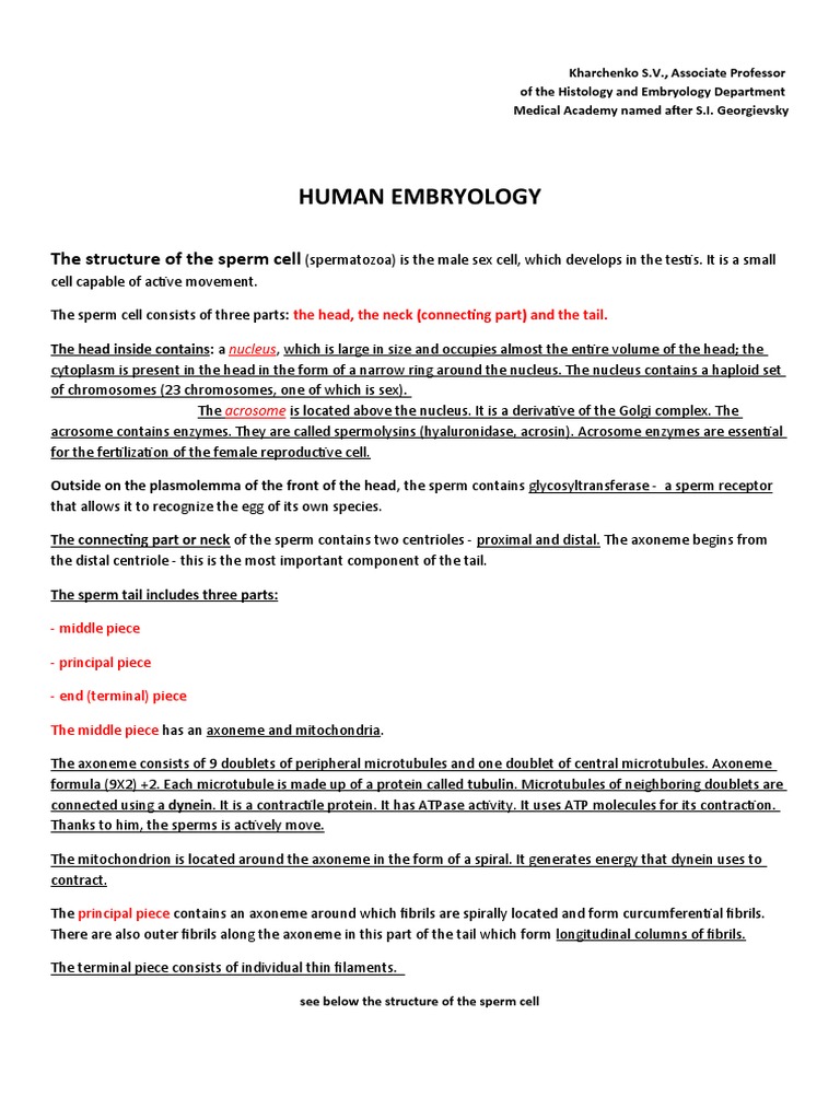 Human Embryology | PDF | Embryo | Fertilisation