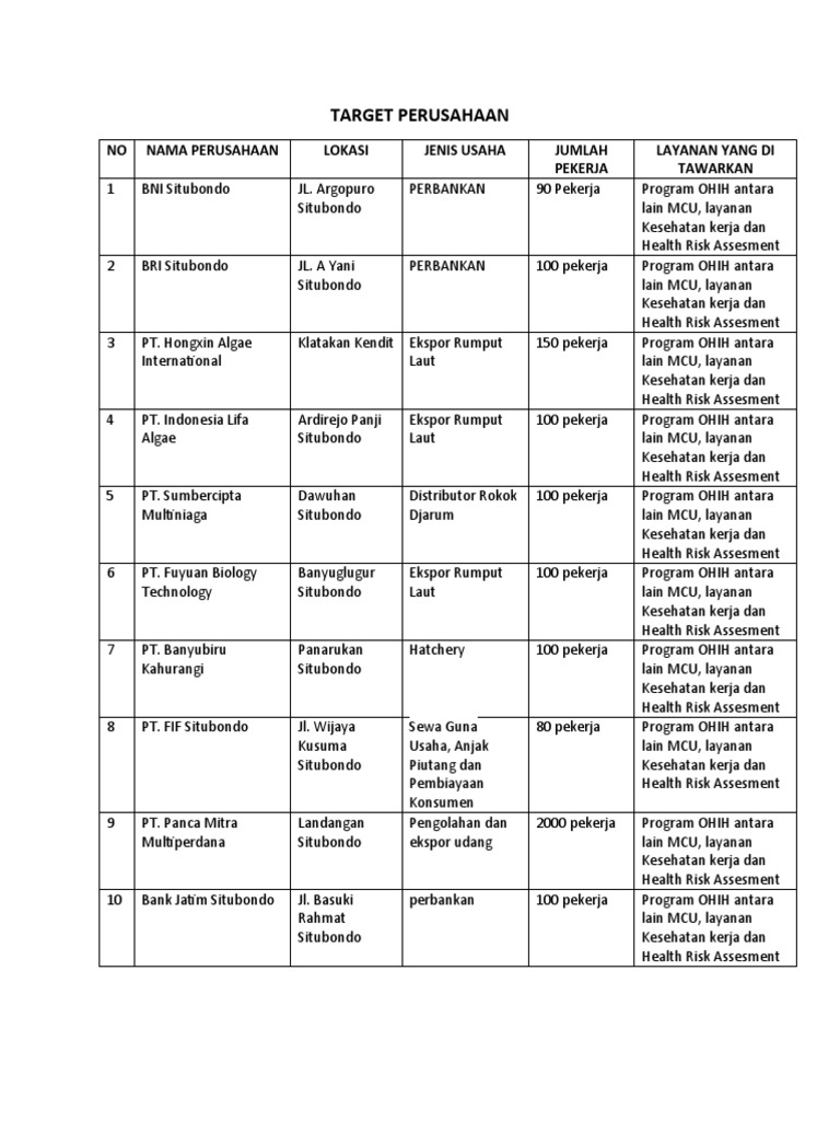 Target Perusahaan | PDF