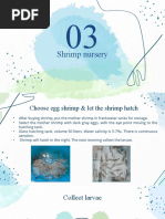 Giant Freshwater Prawn Farming Guide | PDF | Fishing Industry