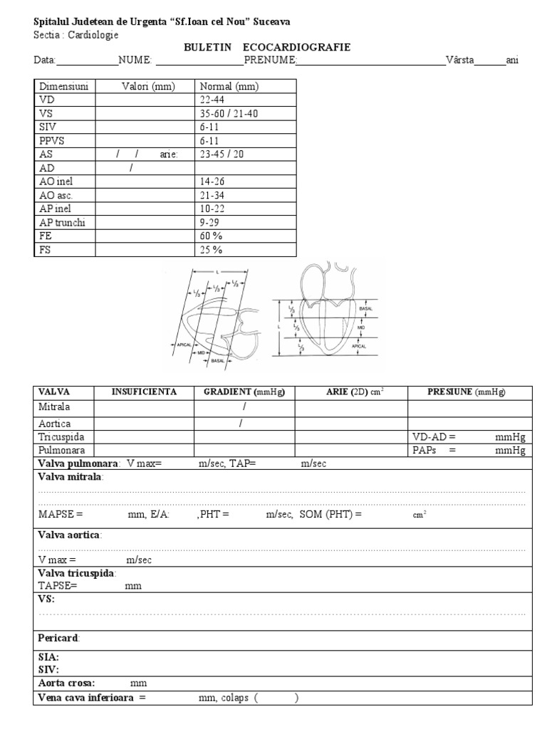 Formular Ecocardiografie | PDF | Aorta | Angiology