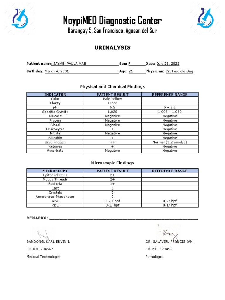 Urinalysis Result | PDF
