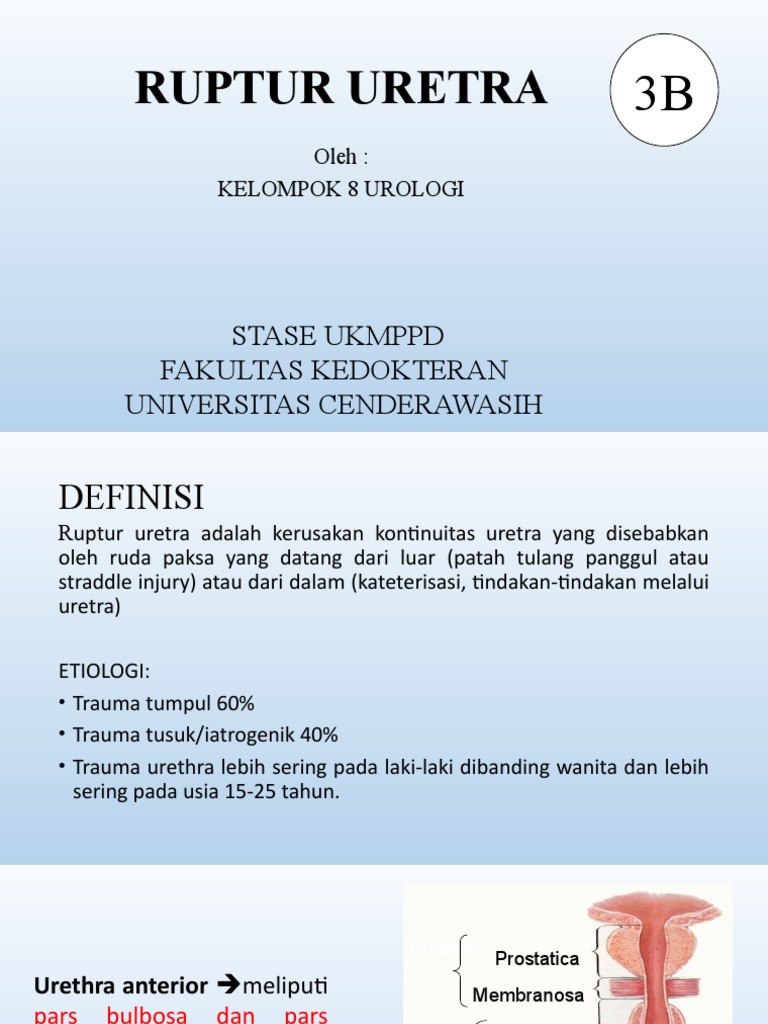 Tatalaksana dan Etiologi Ruptur Uretra | PDF | Ilmu Sosial | Kesehatan ...