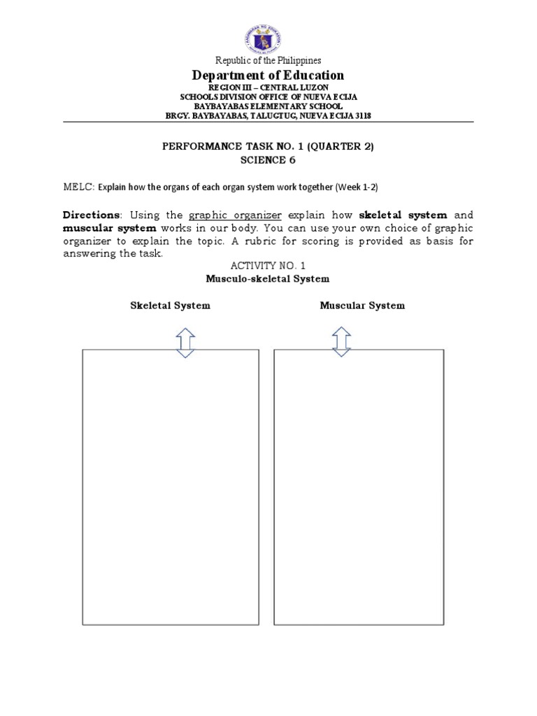 PERFORMANCE TASK SCIENCE 6 Quarter 2 | Download Free PDF | Lung | Anatomy