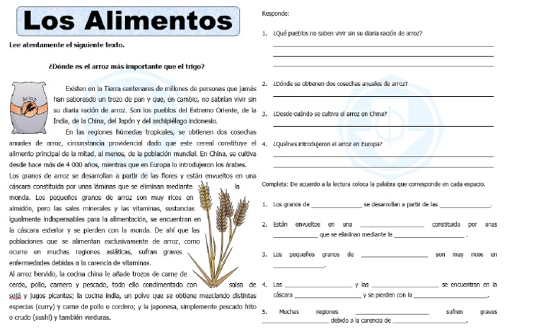 Texto Los Alimentos para Comprension de Lectura Lunes 25 Julio | PDF