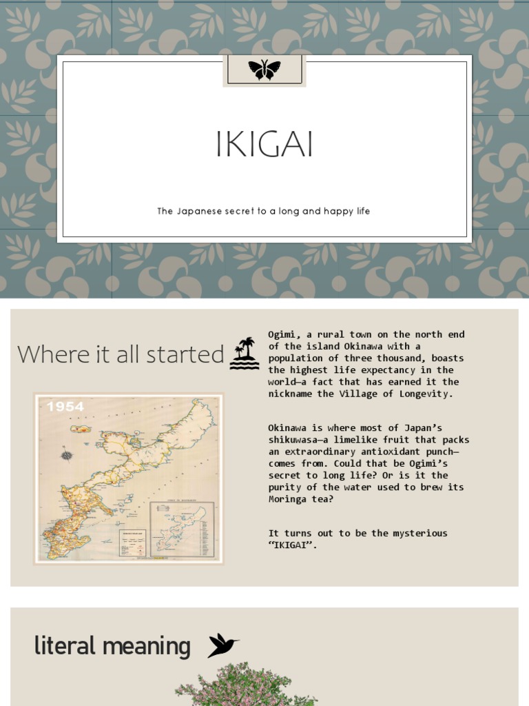 Ikigai 21065095 | PDF | Okinawa Prefecture