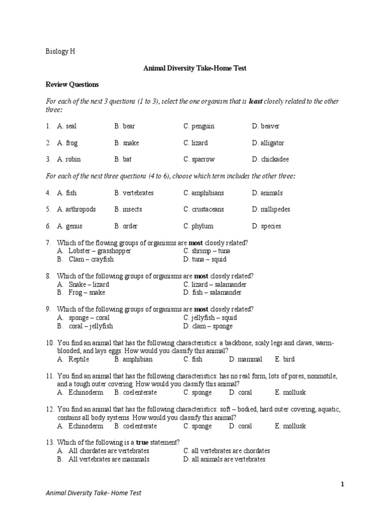 Animal Diversity Take-Home Test | PDF | Invertebrate | Mollusca