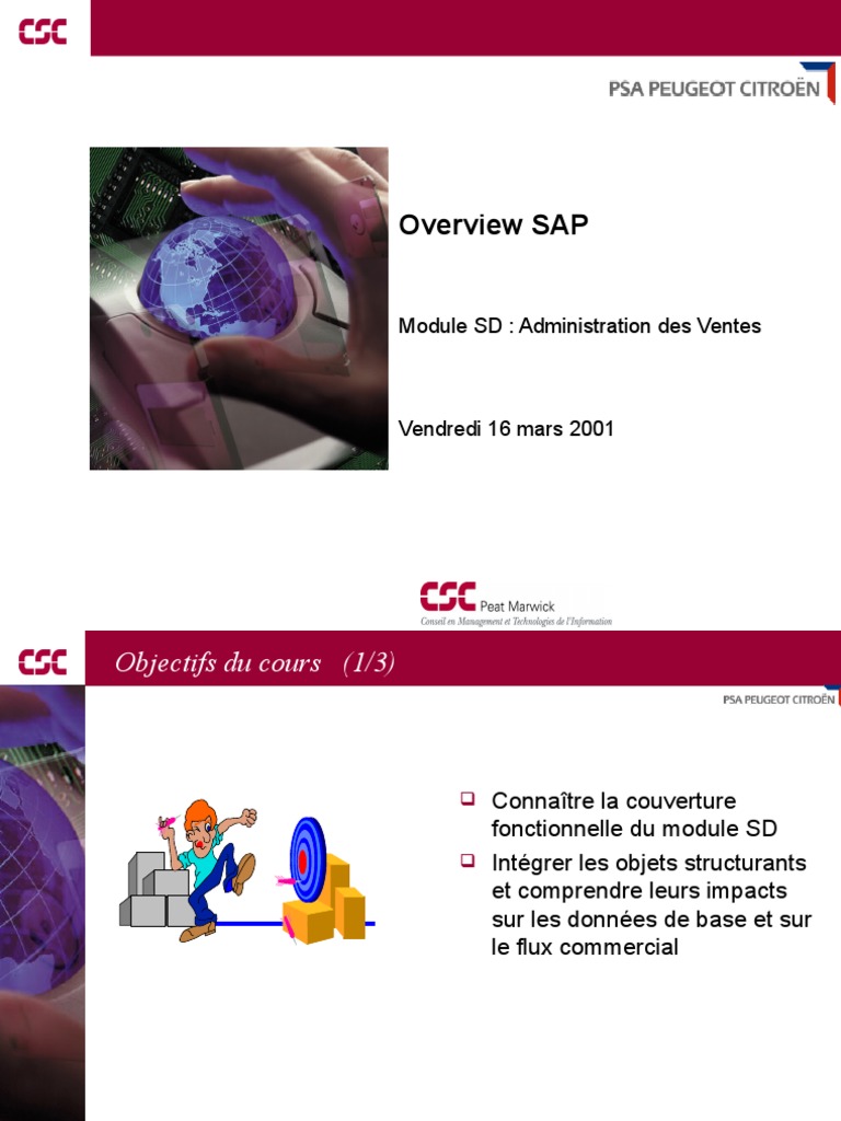 Sap SD Peugeot | PDF | Facture | Business
