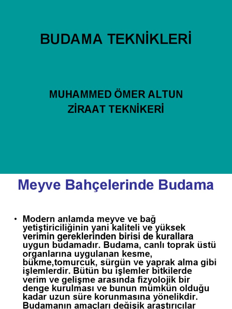 Budama Sunum | PDF