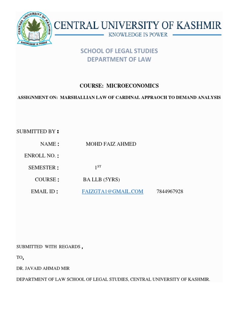 Economics Assignment Pdf Utility Marginal Utility