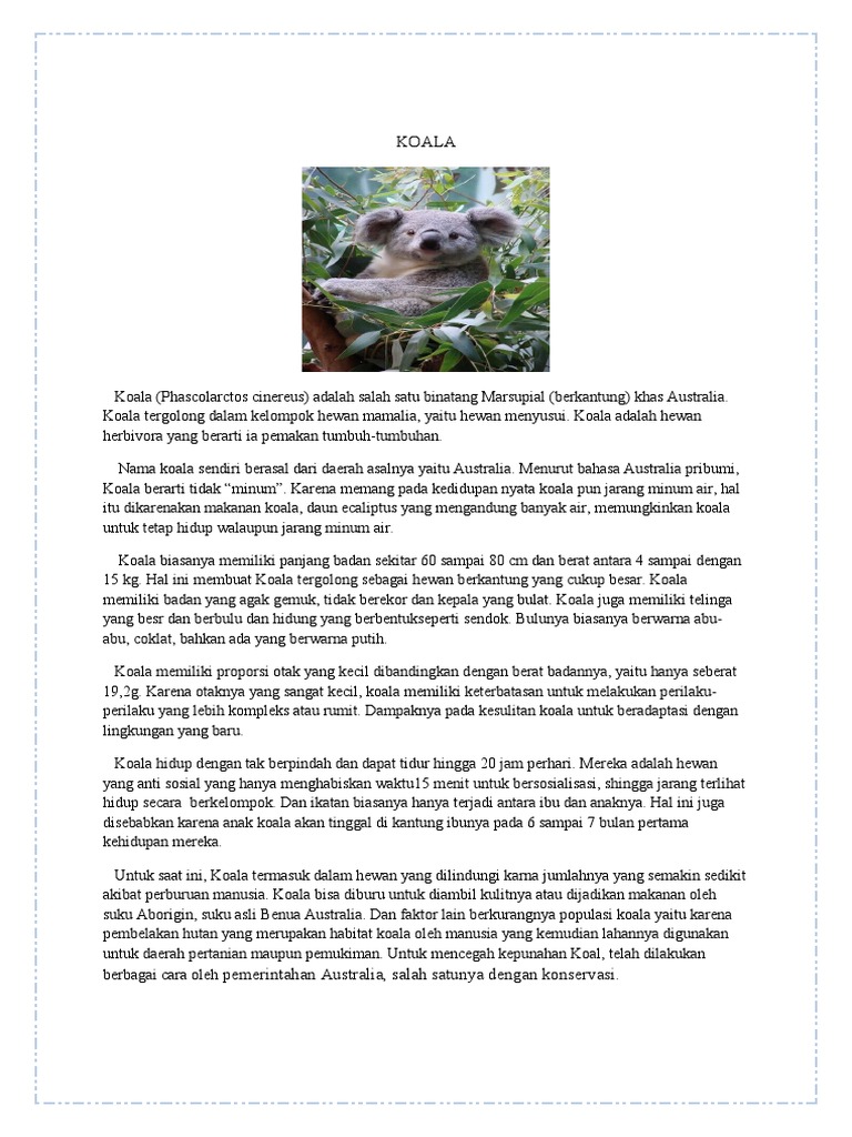 KOALA | PDF