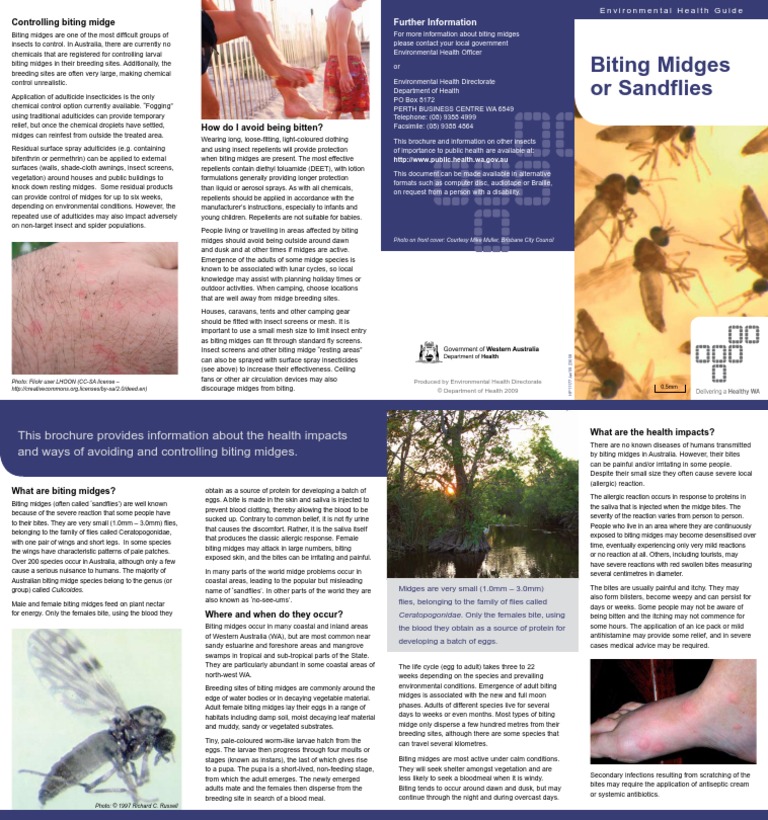 Biting Midges and Sandflies | PDF | Insects
