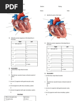 Porcine Heart Dissection Manual | PDF | Heart Valve | Atrium (Heart)