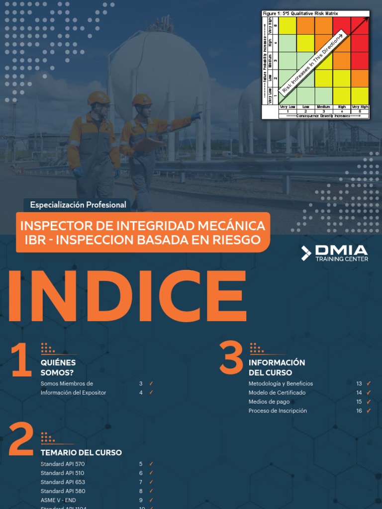 Inspección Basada en Riesgo - Dmia | PDF