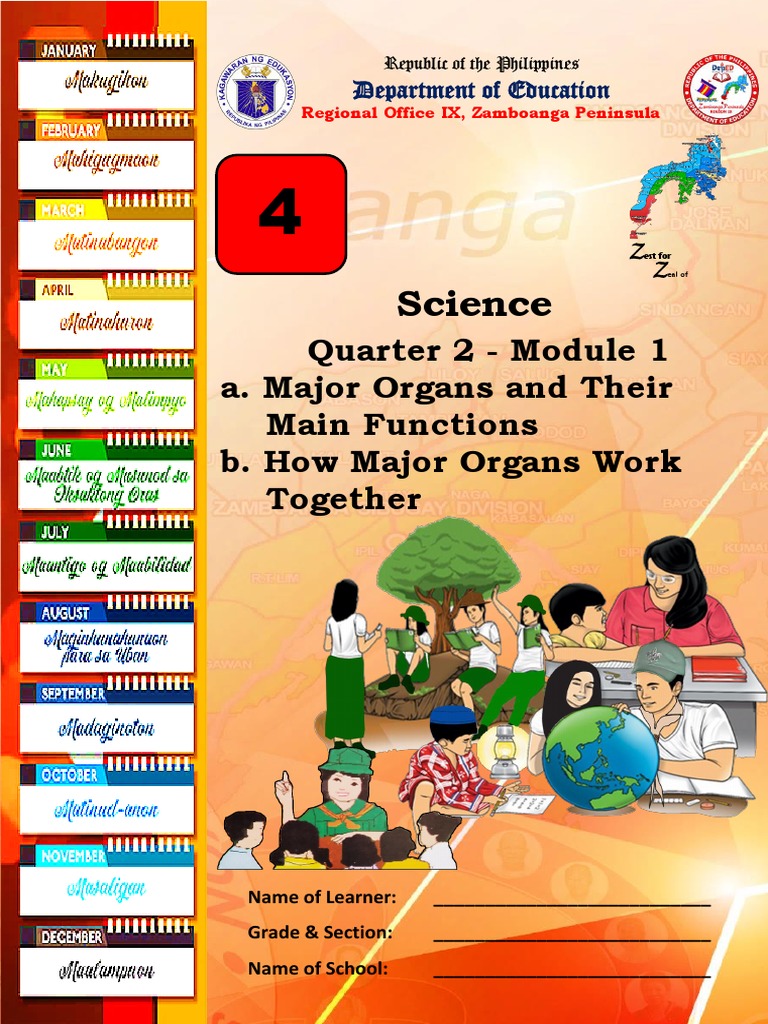 Science4 Q2 Module1 | PDF | Human Body | Blood