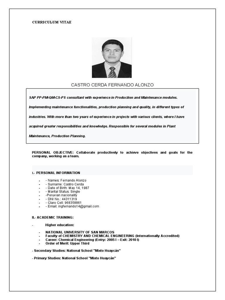 Curriculum Vitae Fernando Castro C. | PDF | Microsoft Office | Business