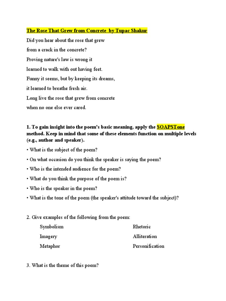 The Rose That Grew From Concrete by Tupac Shakur | PDF | Photosynthesis ...