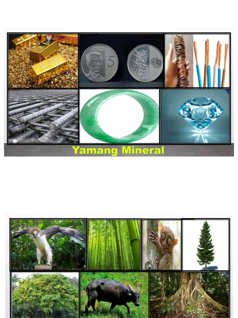 Mga Likas Na Yaman | PDF