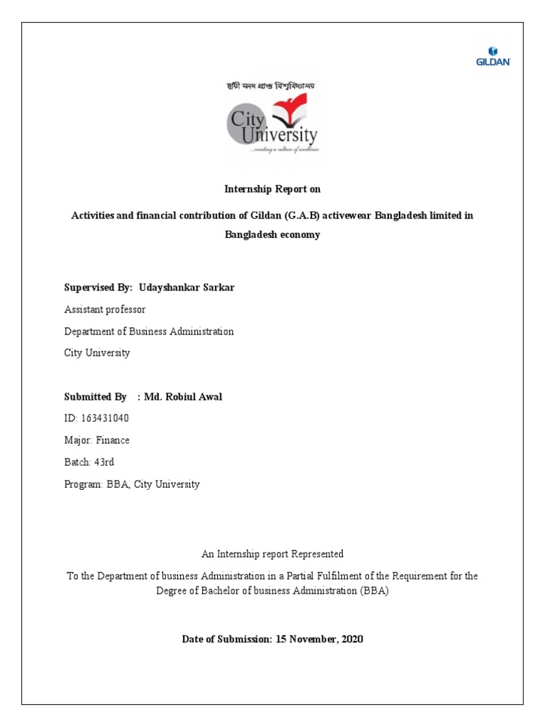 Final Report of Intern | PDF