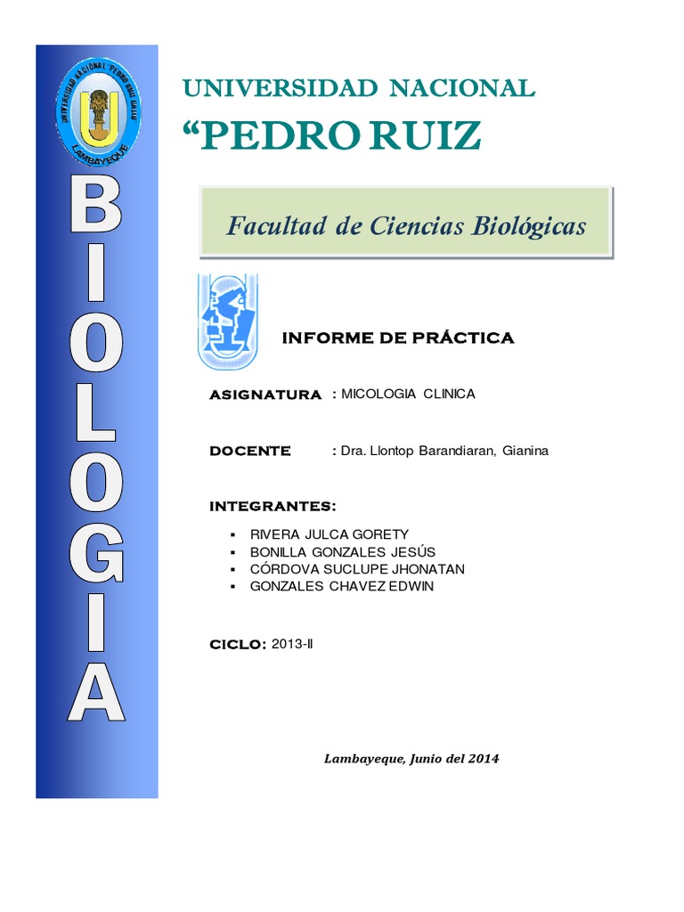 Informe de Mico Clinica | Descargar gratis PDF | Hongo | Micología