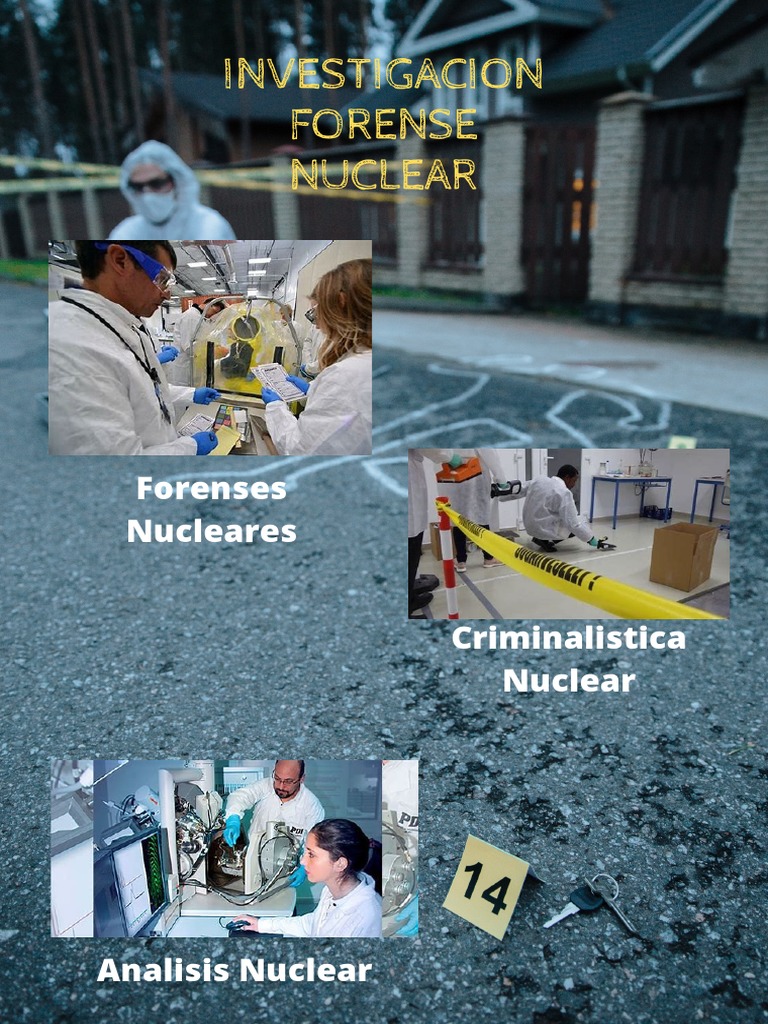 Logo SENAMECF en Investigación Forense | PDF