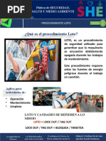 Permiso de Loto | PDF