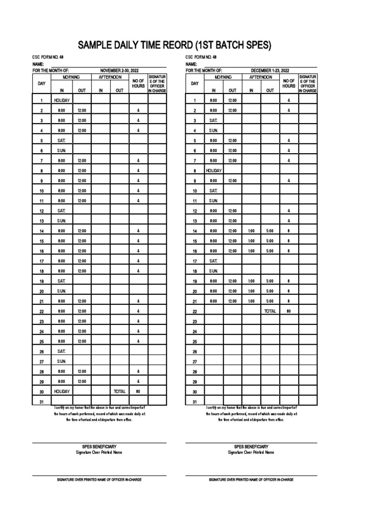 SPES Daily Time Record Sample | PDF | Home & Garden