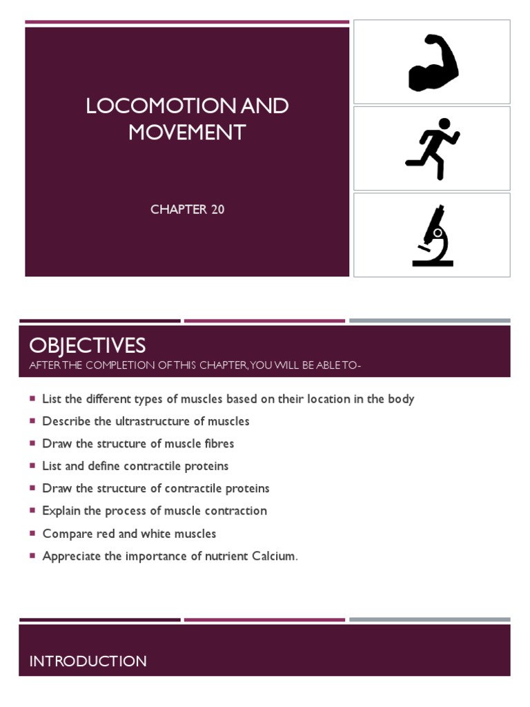 Locomotion and Movement | PDF | Muscle Contraction | Skeletal Muscle