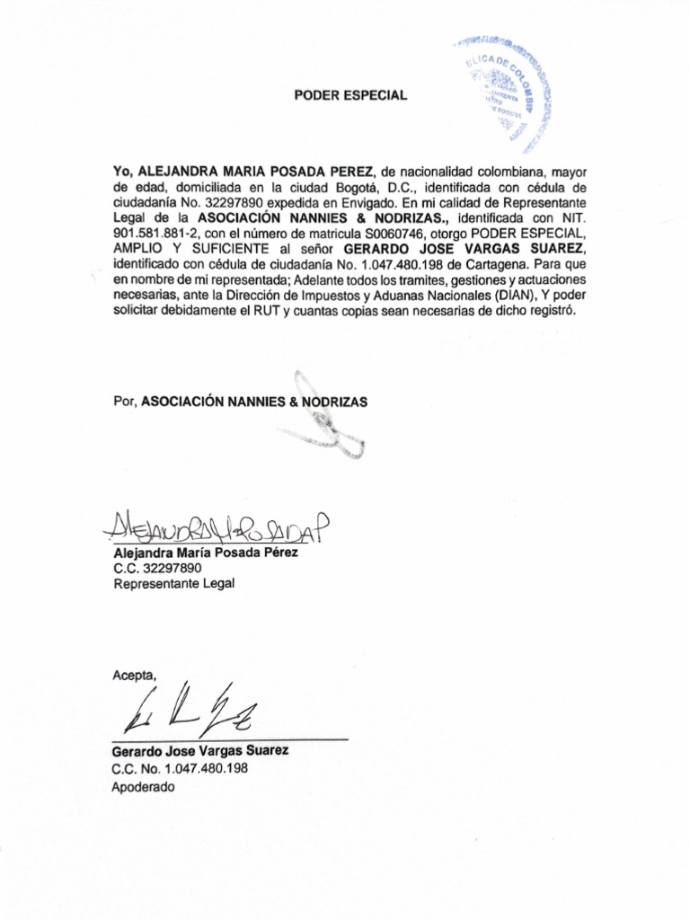 Modelo de Poder Especial | PDF