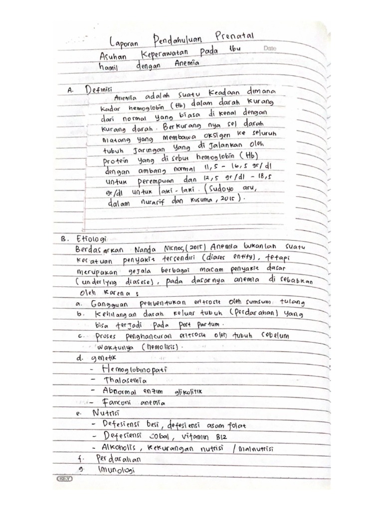 LP Antenatal Abnormal (Anemia) | PDF