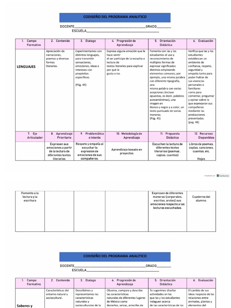2° Codiseño Del Programa Analitico 1 Pdf