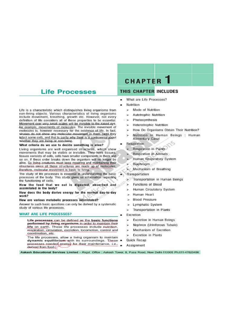 Life Processes | PDF