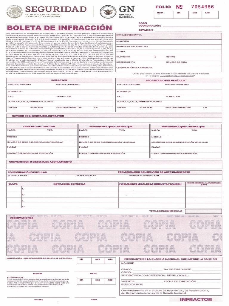 Boleta de Infraccion-1 | PDF